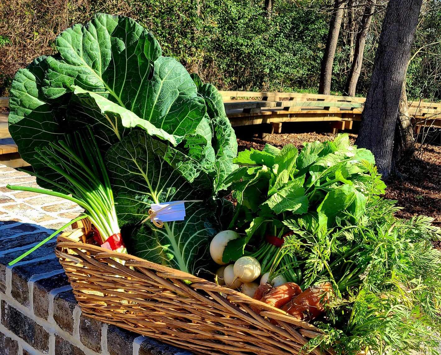Trade Your Groceries for Local Goodies With the Farmers Market2Go ...
