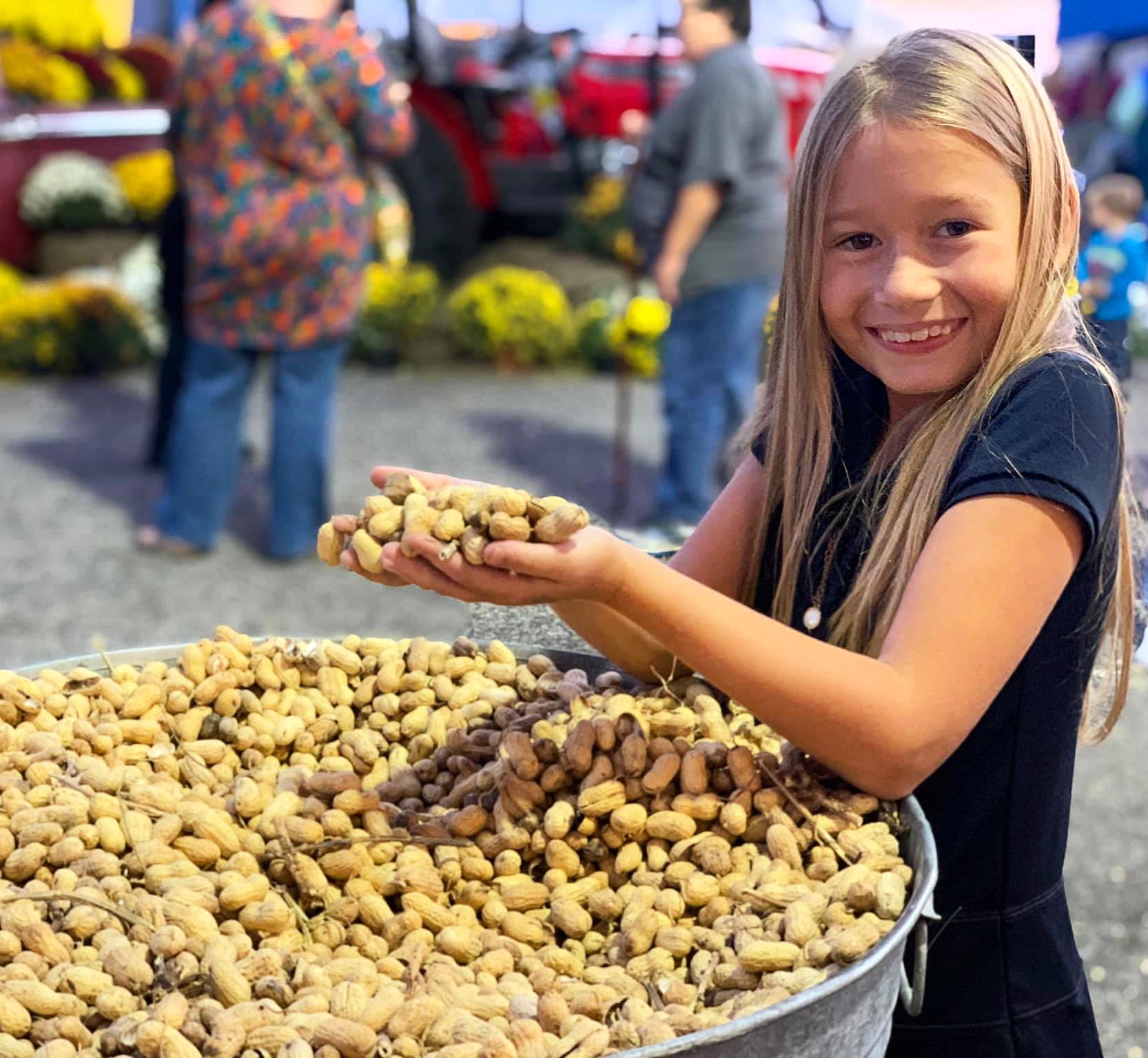 The 35th Brooklet Peanut Festival - Visit Statesboro