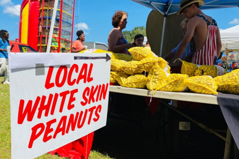 The 35th Brooklet Peanut Festival - Visit Statesboro